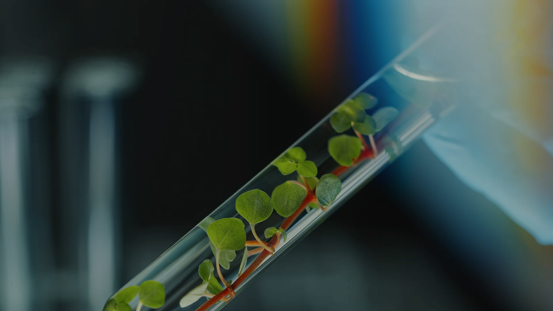 Biosolutions: Verden har brug for nytænkning og biosolutions rummer ...