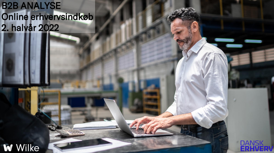 Analyse: B2B’erne holder fast i nettet