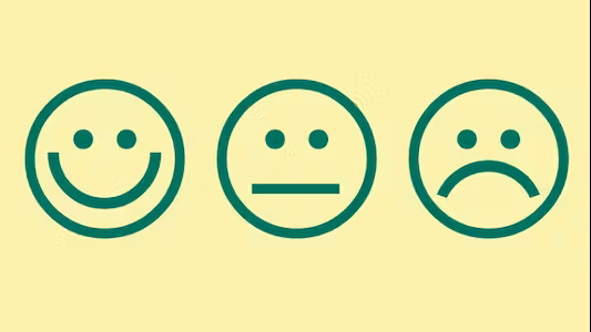 Til oktober erstattes kontrolrapporten af et smileymærke